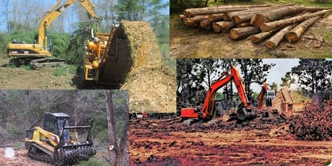 How to Cut Underbrush: A Practical Guide for Effective Land Clearing